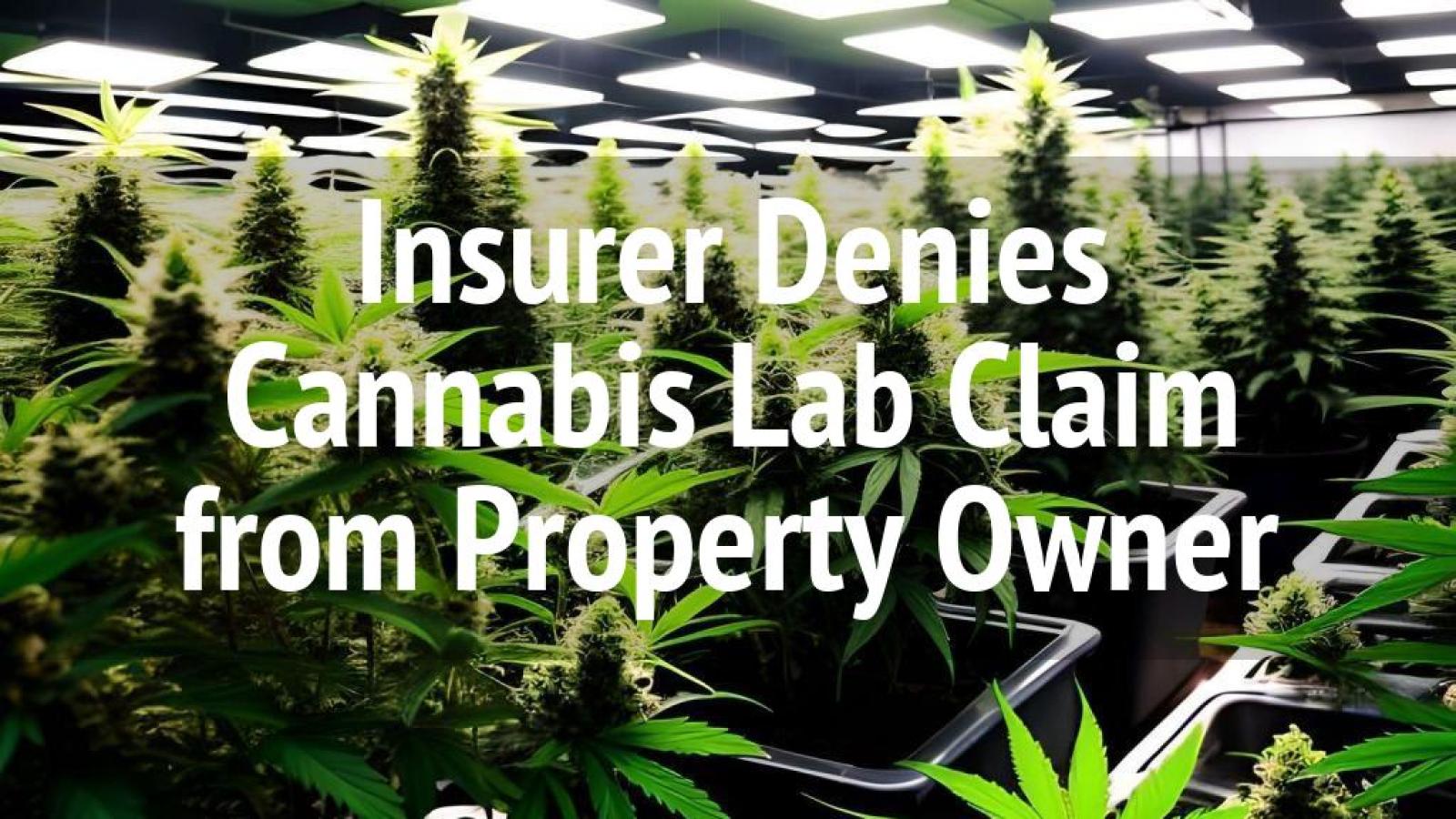 Cannabis Lab Claim Dispute: Insurer Wins Against Property Owner